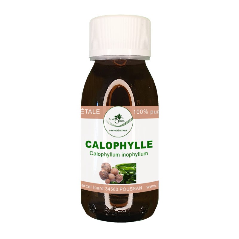 HUILE VÉGÉTALE CALOPHYLLE INOPHYLLE (TAMANU) - 60 mL