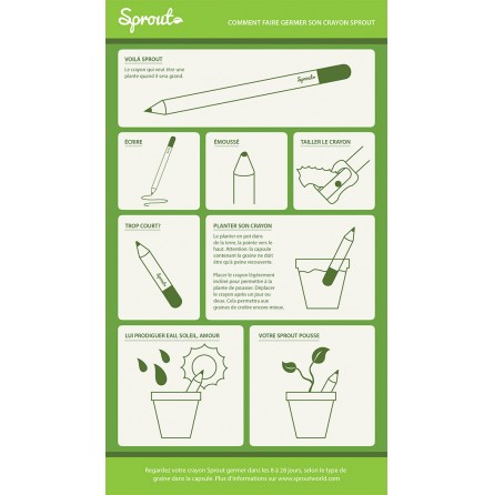 CRAYON DE PAPIER À PLANTER - BASILIC
