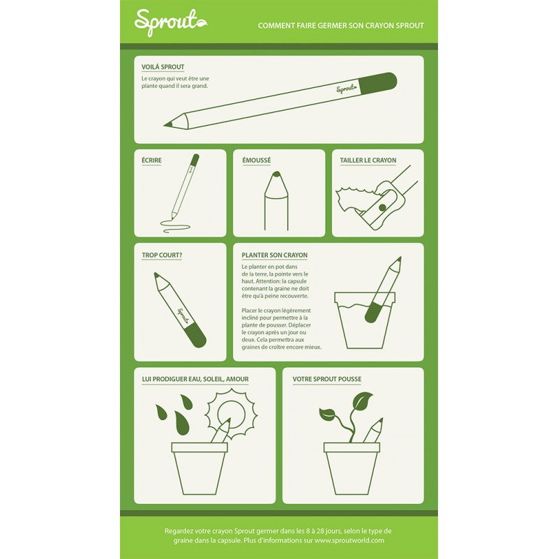 CRAYON DE PAPIER À PLANTER - THYM